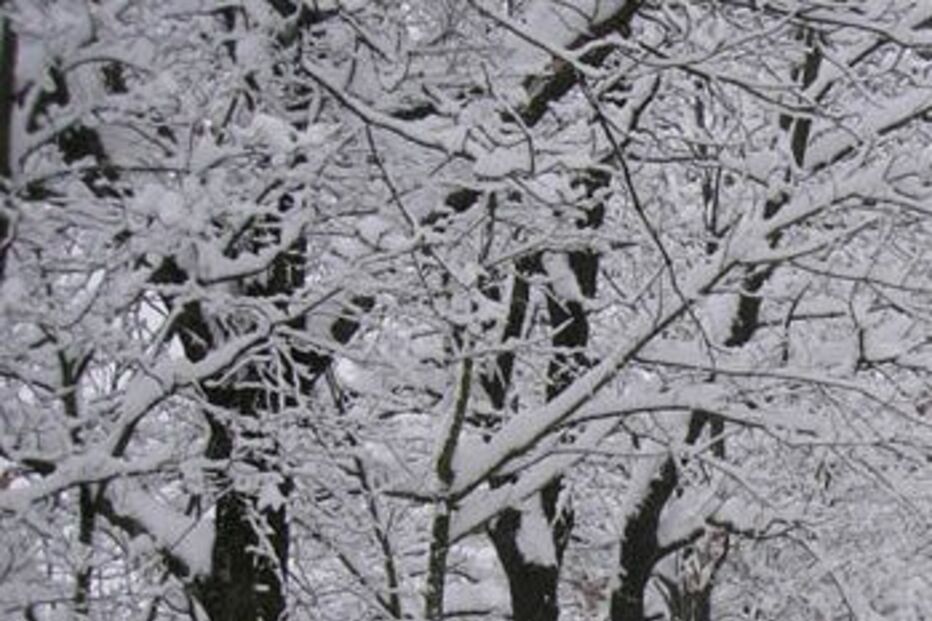 Neve pode cair em Lisboa - Portugal - Correio da Manhã