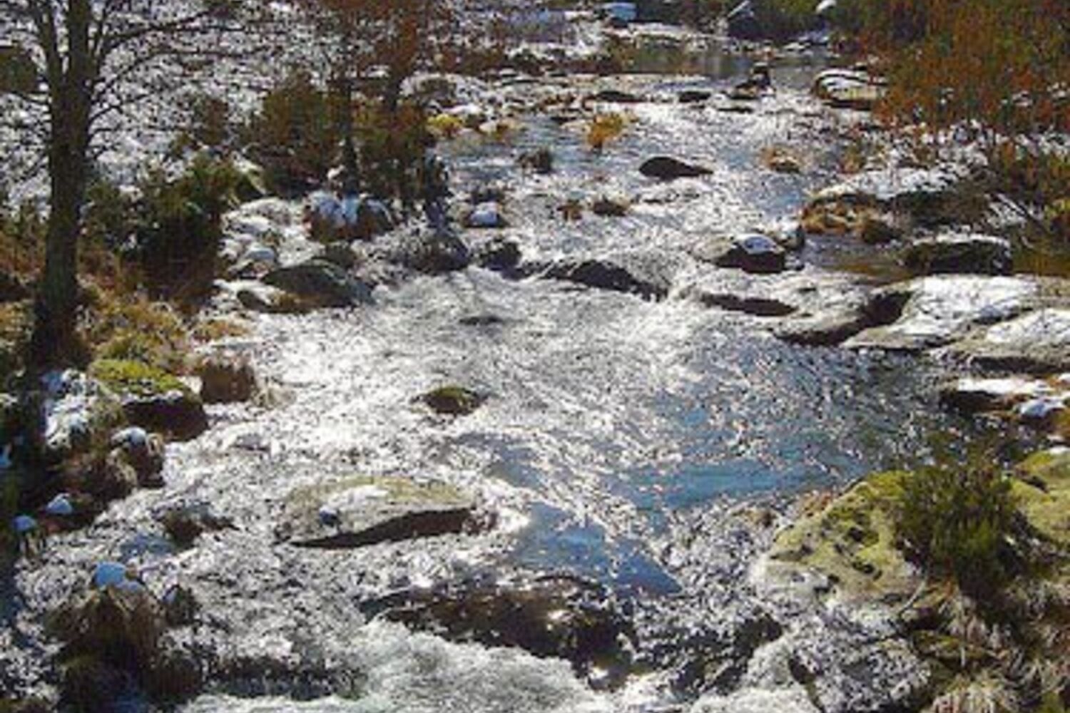 Resíduos perigosos em parque natural - Portugal - Correio da Manhã