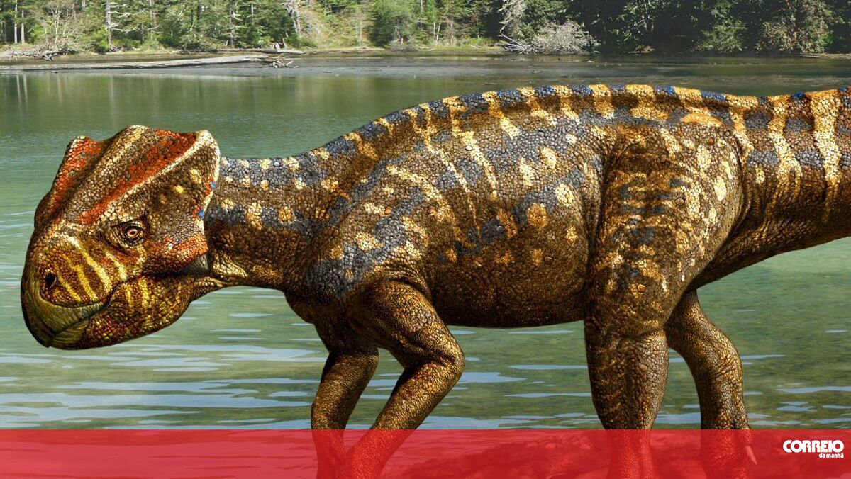 Dinossauro koreaceratops descoberto na Coreia do Sul - Tecnologia ...