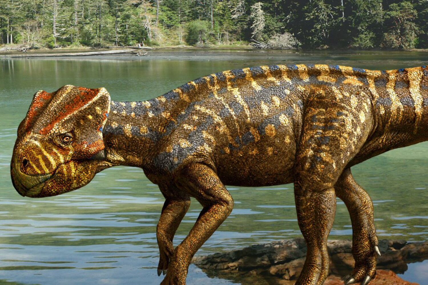 Dinossauro koreaceratops descoberto na Coreia do Sul - Tecnologia ...