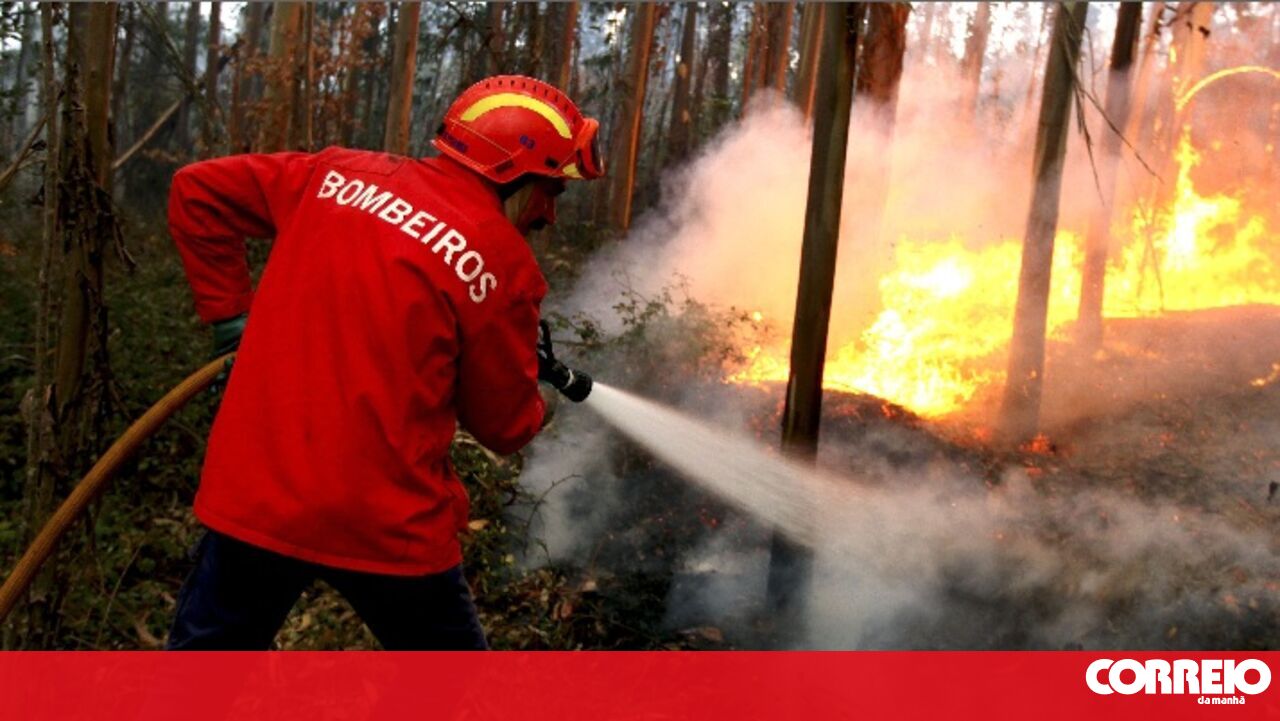 Cinco fogos activos nos distritos de Viseu e Bragança - Portugal ...