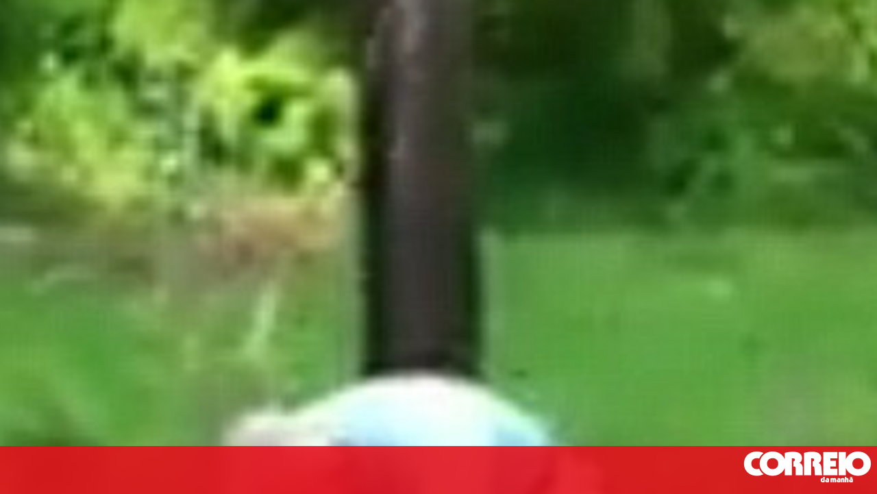 Escapa por pouco a ataque de jacaré (COM VÍDEO) - Insólitos - Correio ...