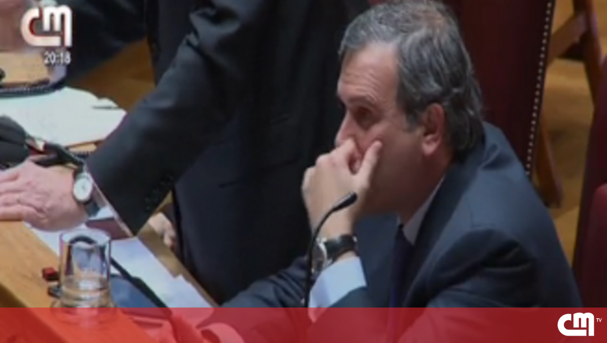 Gabinete de Ana Rita Barosa caiu em dois meses - Atualidade - Correio ...