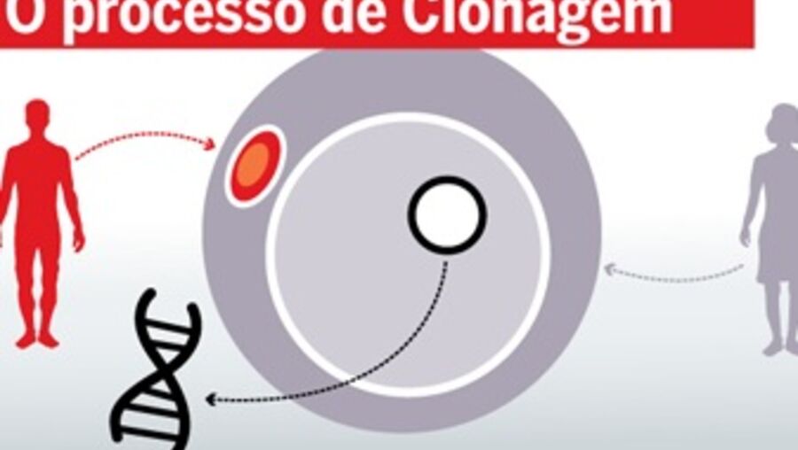 Veja como é feita a clonagem em humanos - Sociedade - Correio da Manhã