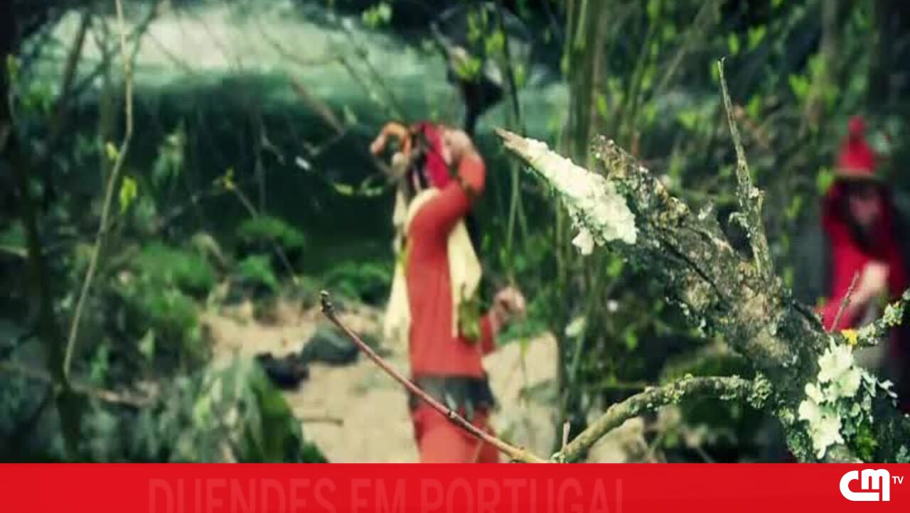 Duendes em Portugal: Trasgos integram mitologia - Especiais - Correio ...
