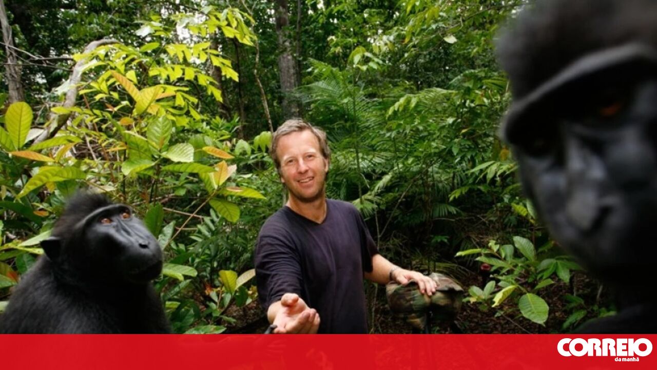 'Selfie' tirada por macaco gera luta por direitos de autor - Mundo ...