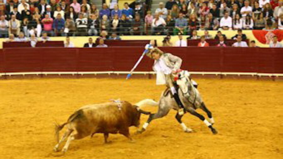 Europa impõe regras à tourada - Cultura - Correio da Manhã