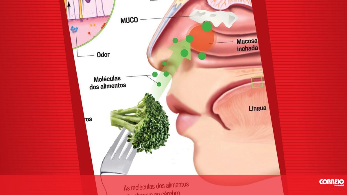 Causas e efeitos disgeusia e da anosmia - Infográficos - Correio da Manhã