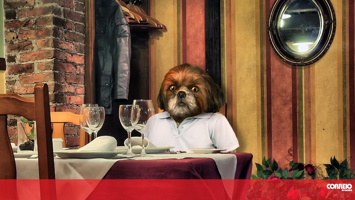 O Mundo perfeito não existe - Domingo - Correio da Manhã