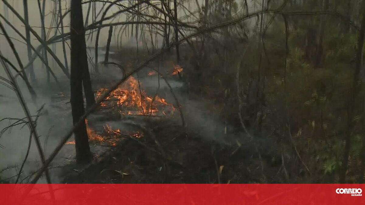 Fogo no concelho de Tondela está em fase de resolução - Portugal ...