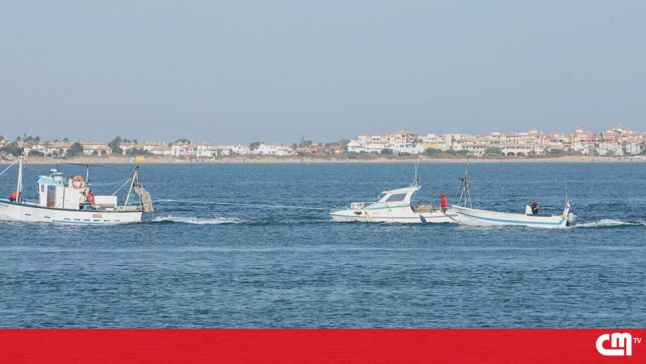 Comentadores da CMTV discordam no facto de treinadores poderem fazer ...