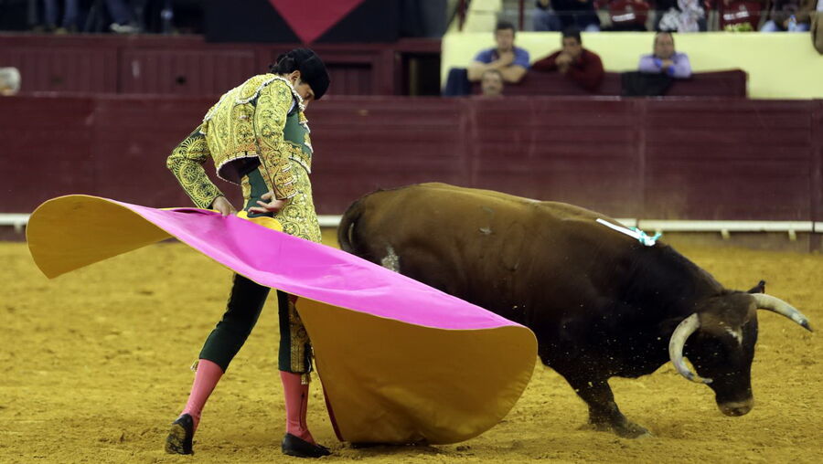 Cavaleiros, forcados e cavalo feridos na Corrida de Touros em Coruche ...