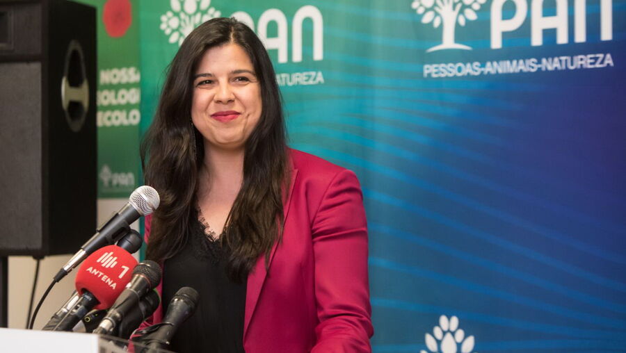 Inês Sousa Real eleita líder do grupo parlamentar do PAN - Política ...