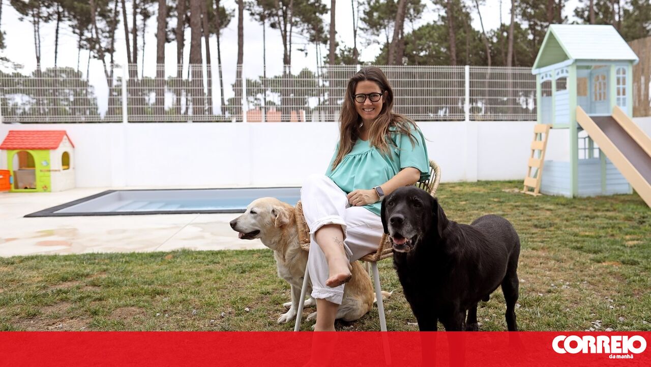Os cães que vinham na ‘bagagem’ do marido de Catarina Beato - Domingo ...