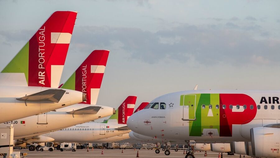 Avião da TAP vindo de Lisboa choca com pássaro ao aterrar no aeroporto ...