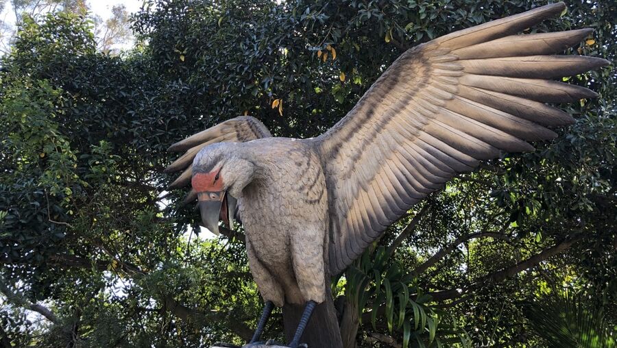 Investigadores descobrem fósseis de aves carnívoras gigantes na ...