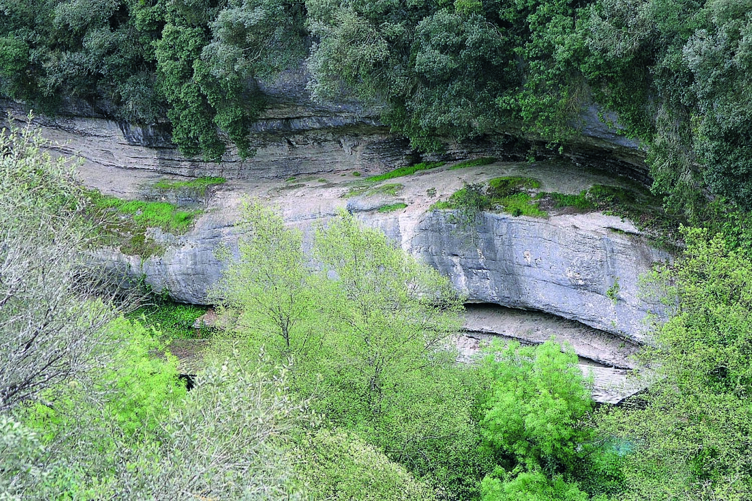 Menino de Lapedo nasceu há 28 mil anos da união Neandertal-Humano ...