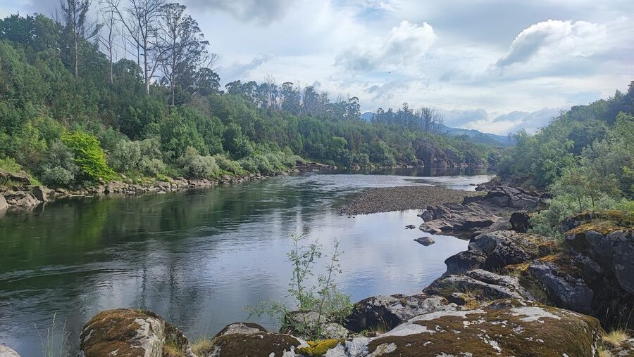 Poluição, pesca e alterações climáticas ameaçam espécies da bacia do ...