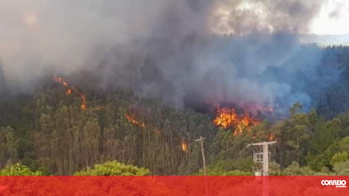 Chamas extintas em Penacova, três fogos ativos em Portugal continental ...