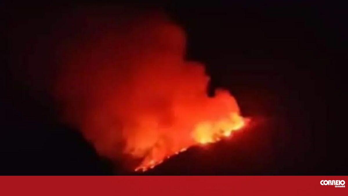 Fogos deste ano provocaram prejuízos de 85 milhões de euros e afetaram ...