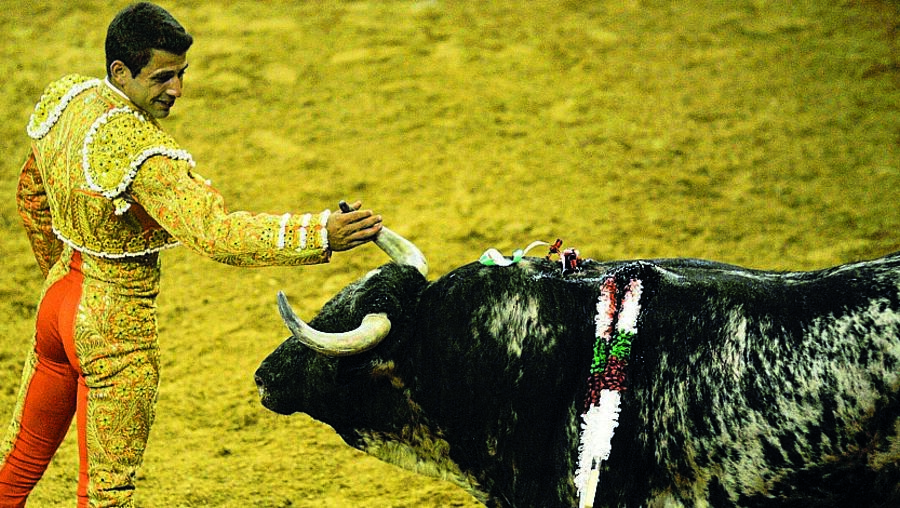 Touradas com 375 mil espectadores em 2022 - Cultura - Correio da Manhã