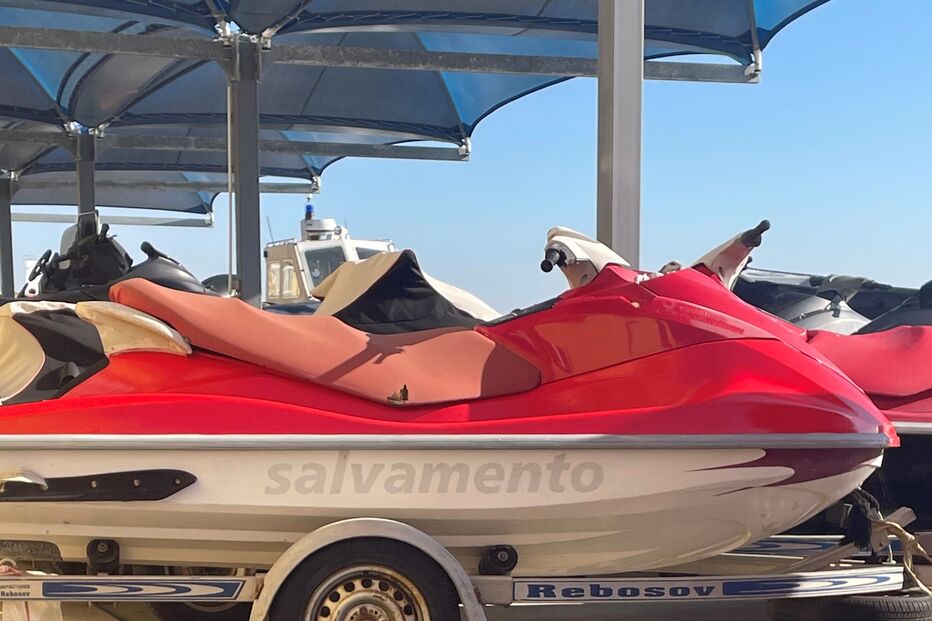 Cadela resgatada do Farol do Búgio no Rio Tejo - Sociedade - Correio da ...