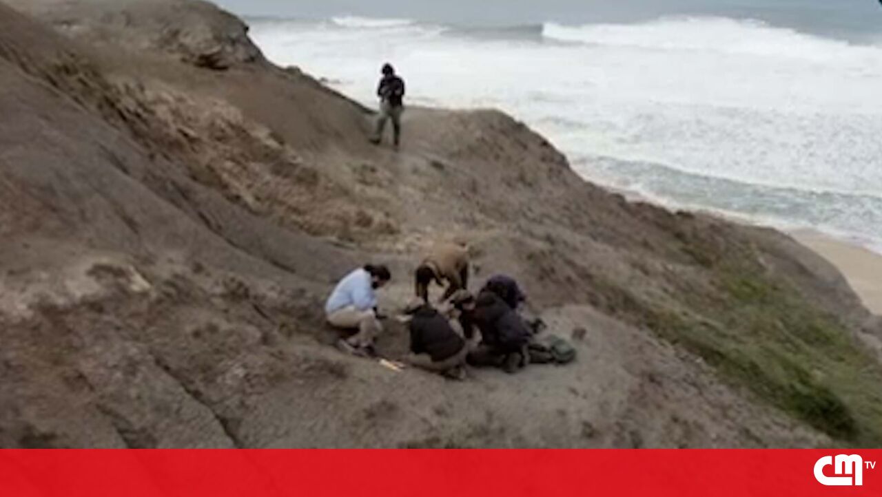 Lourinhã, a cidade portuguesa onde há mais vestígios da existência de ...