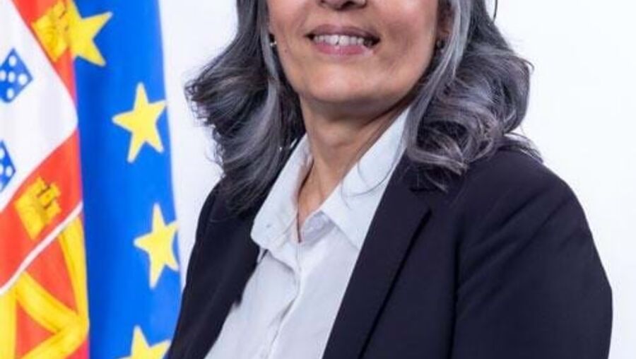 Governo diz que propostas do PSD sobre violência doméstica refletem ...