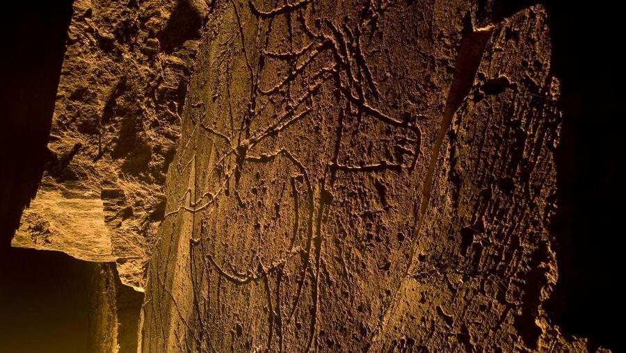 Novo estudo revela as mais antigas gravuras rupestres feitas por ...