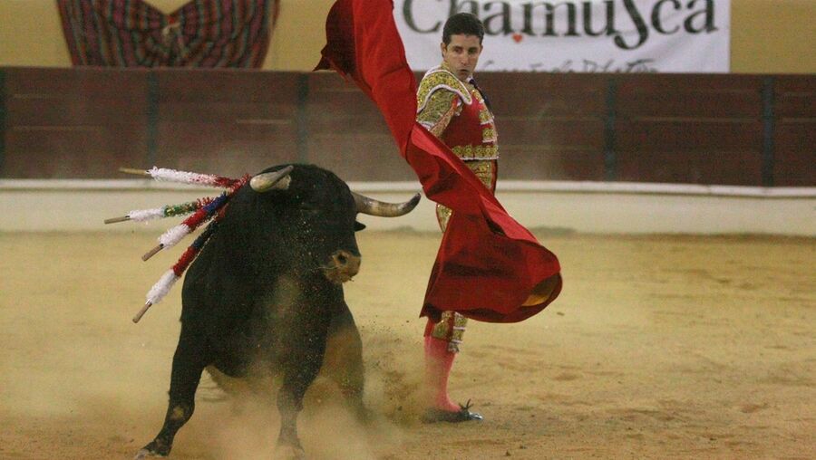 “O touro não sofre, porque não existe dor”: Declarações de toureiro ...
