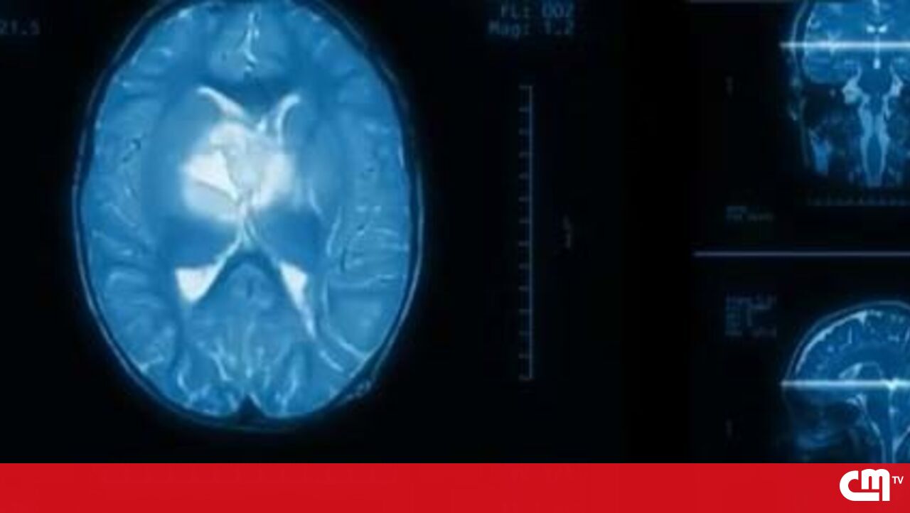 Empresa portuguesa cria solução tecnológica para ajudar a tratar ...