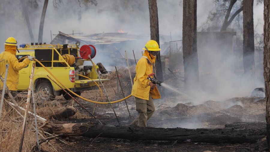 45 veículos para a Proteção Civil - Portugal - Correio da Manhã