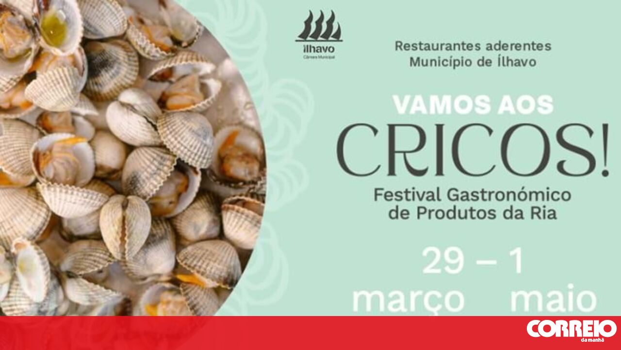 Festival gastronómico “Vamos aos Cricos” em Ílhavo - Comunicados de ...