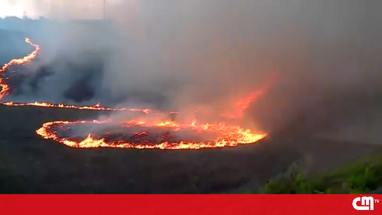 Equipa da CMTV aconselhada a sair de local em Albergaria-a-Velha devido ...