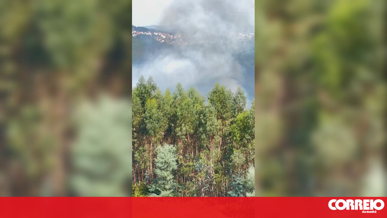 Incêndio em Penacova está em fase de resolução - Portugal - Correio da ...
