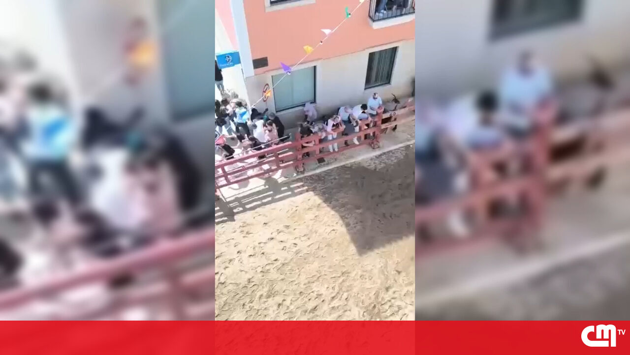 Touro solta-se e fere pelo menos três pessoas na Azambuja - Vídeos ...