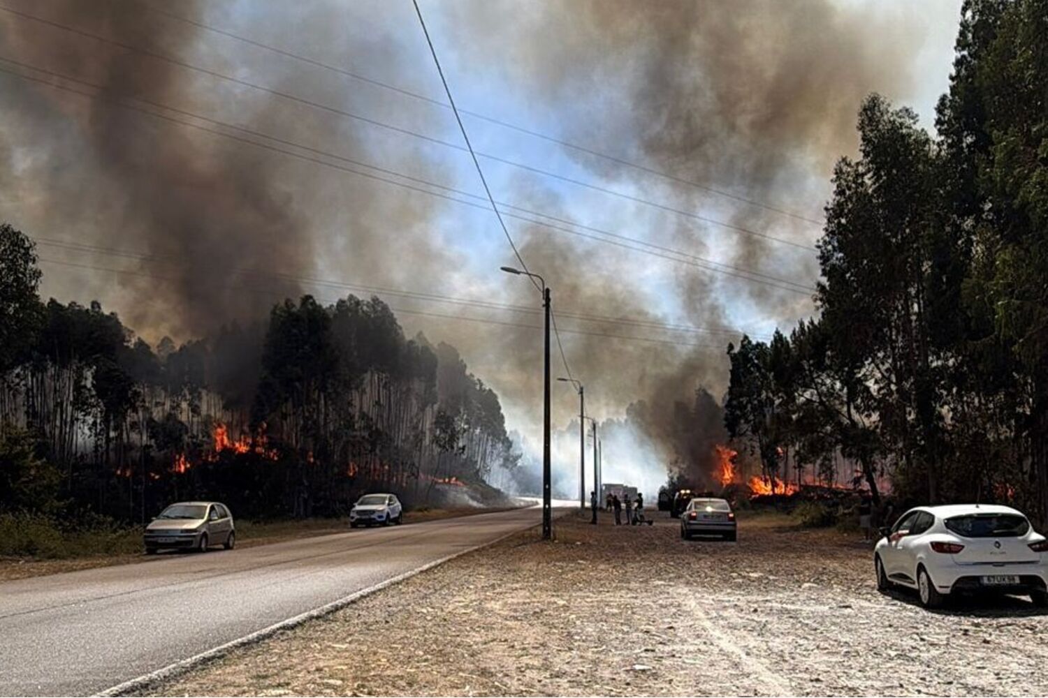 Quatro meios aéreos e mais de 80 operacionais combatem incêndio em ...