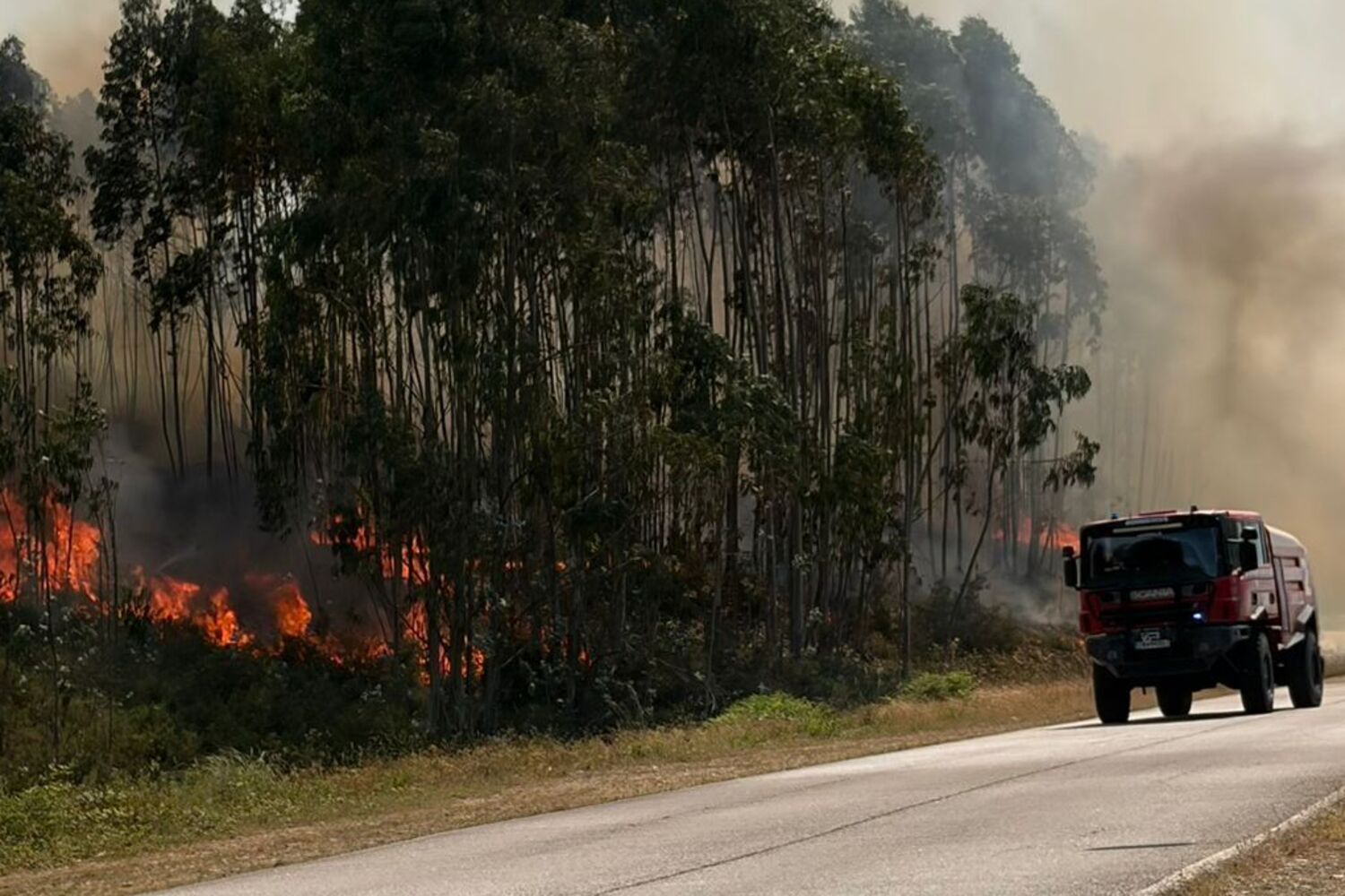 Quatro meios aéreos e mais de 80 operacionais combatem incêndio em ...