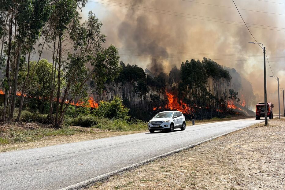 Quatro meios aéreos e mais de 80 operacionais combatem incêndio em ...