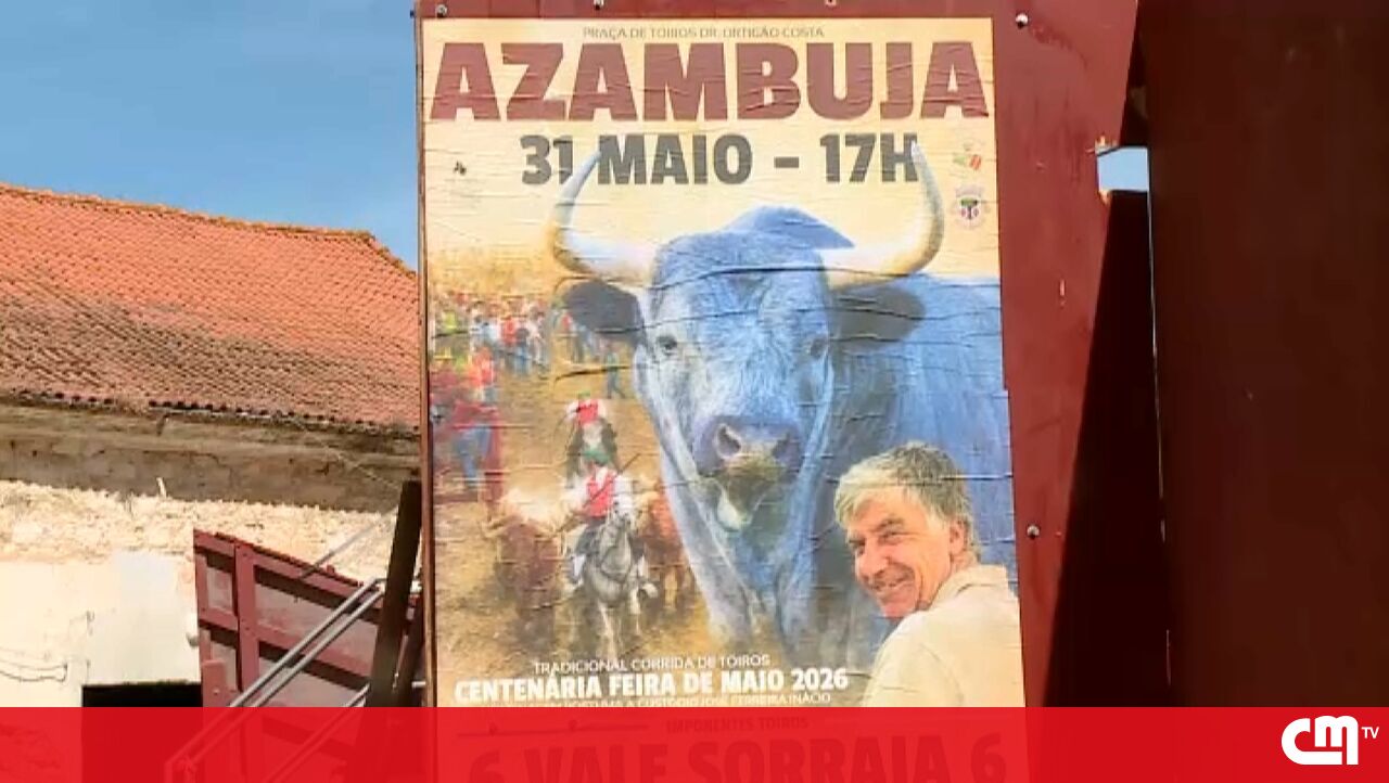 Touro solta-se e fere pelo menos três pessoas na Azambuja. Animal já ...